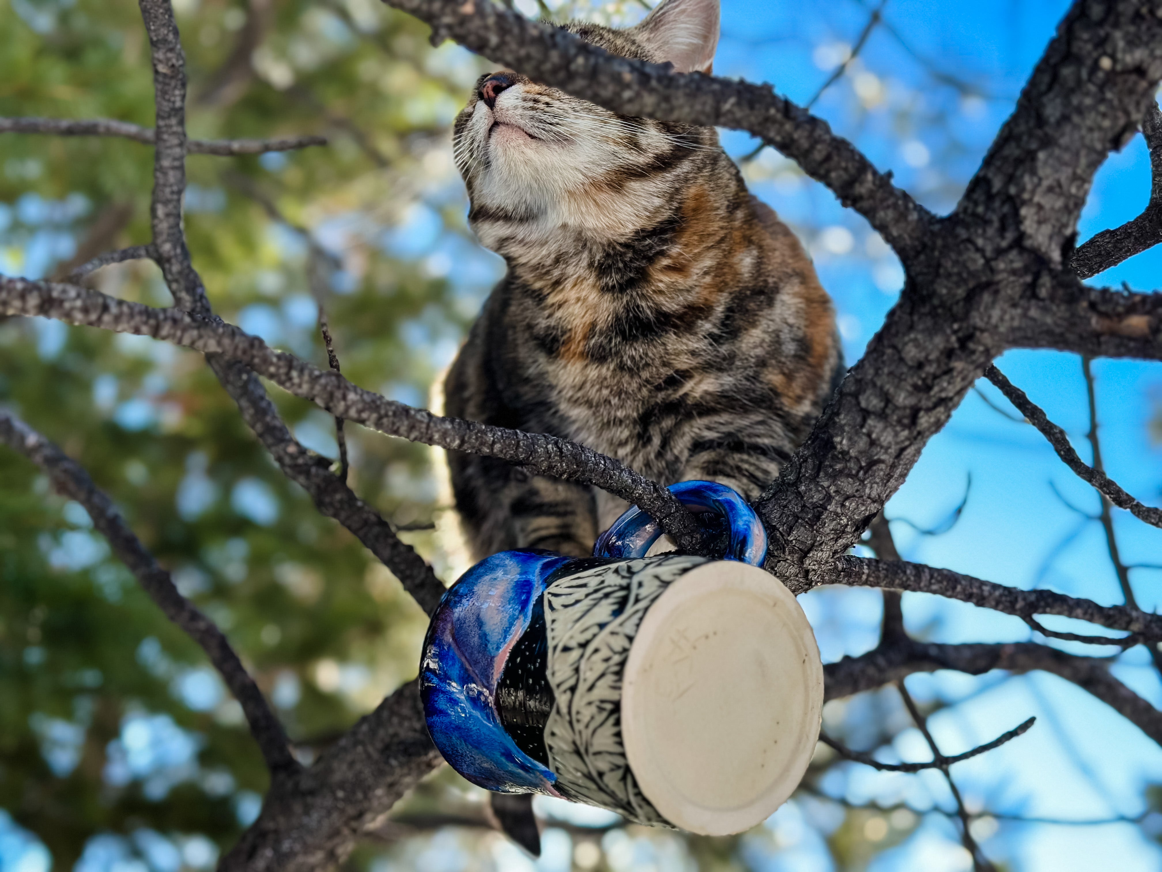 Shop All – Kickturn Studio